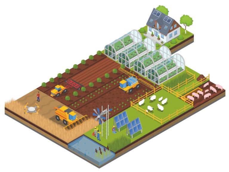 Agri-tech ecosystem creation - Holdsworth Associates
